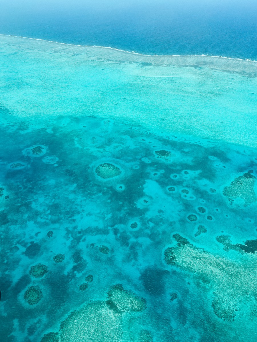 Ultimate Guide to Your Belize Adventures: From Mayan Ruins to Coral ...